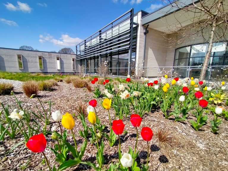 Learn all About us here at the Wealden Crematorium in all its glory.